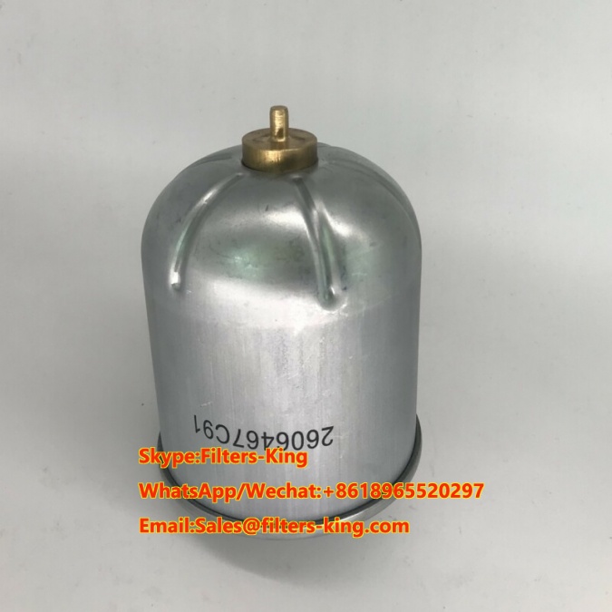 Filtro Olio 2606467C91 BC7485 P551841 557467 CS41043 | Produttore E ...